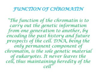GENOME ORGANISATION IN EUKARYOTES | PPTX