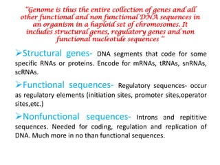 GENOME ORGANISATION IN EUKARYOTES | PPTX