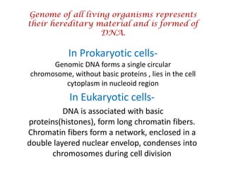 GENOME ORGANISATION IN EUKARYOTES | PPTX