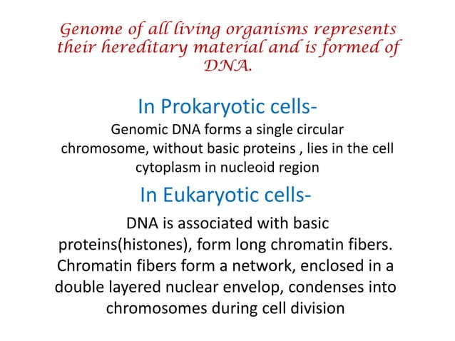 GENOME ORGANISATION IN EUKARYOTES | PPTX