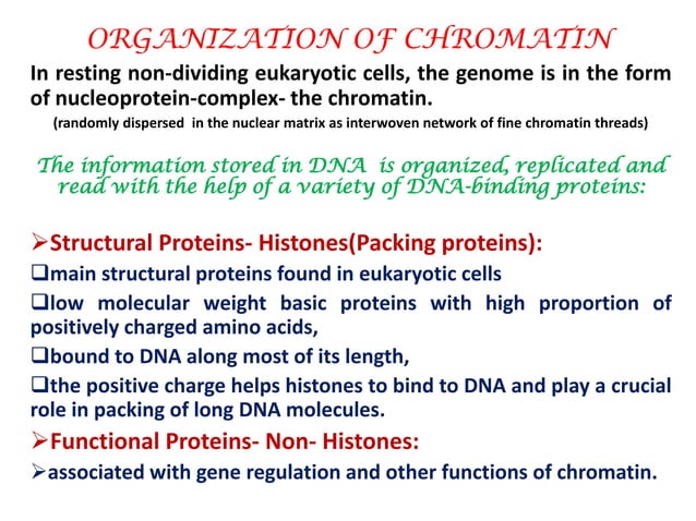 GENOME ORGANISATION IN EUKARYOTES | PPTX