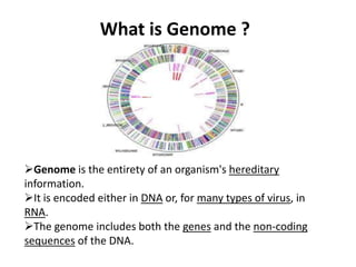 Genome Picture