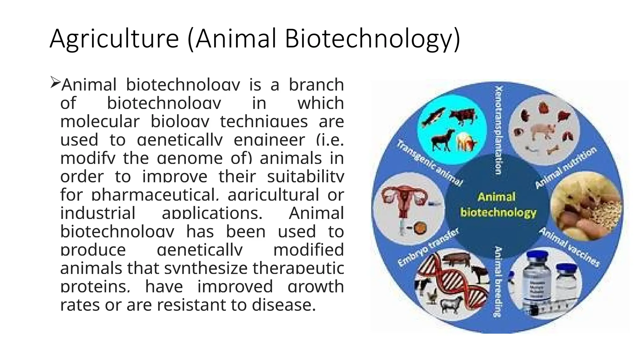 Biotechnology: Definitions and its Applications | PPTX