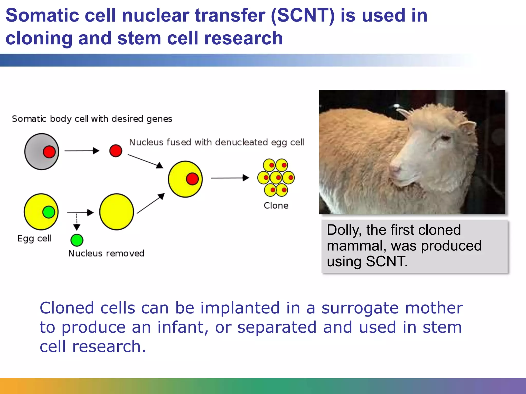 Modern Biotechnology | PPTX