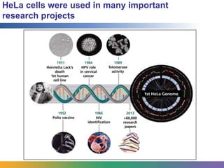 Presentation 3 - Henrietta Lacks and Her Cells | PPTX