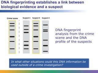 DNA in the Laboratory | PPTX | Biological Sciences | Science