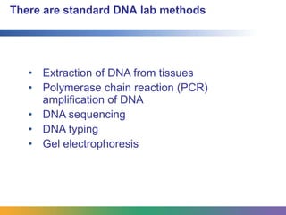 DNA in the Laboratory | PPTX | Biological Sciences | Science
