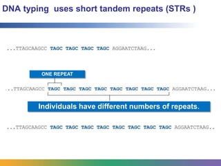 DNA in the Laboratory | PPT