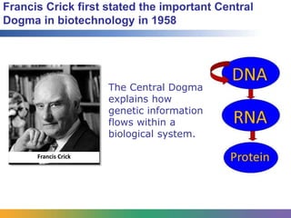 DNA in the Laboratory | PPTX | Biological Sciences | Science