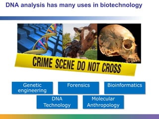 DNA in the Laboratory | PPTX | Biological Sciences | Science
