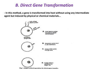Biotechniques & Biotechnologies | PPTX