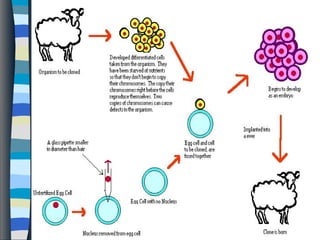 Biotechnology in livestock improvement | PPT