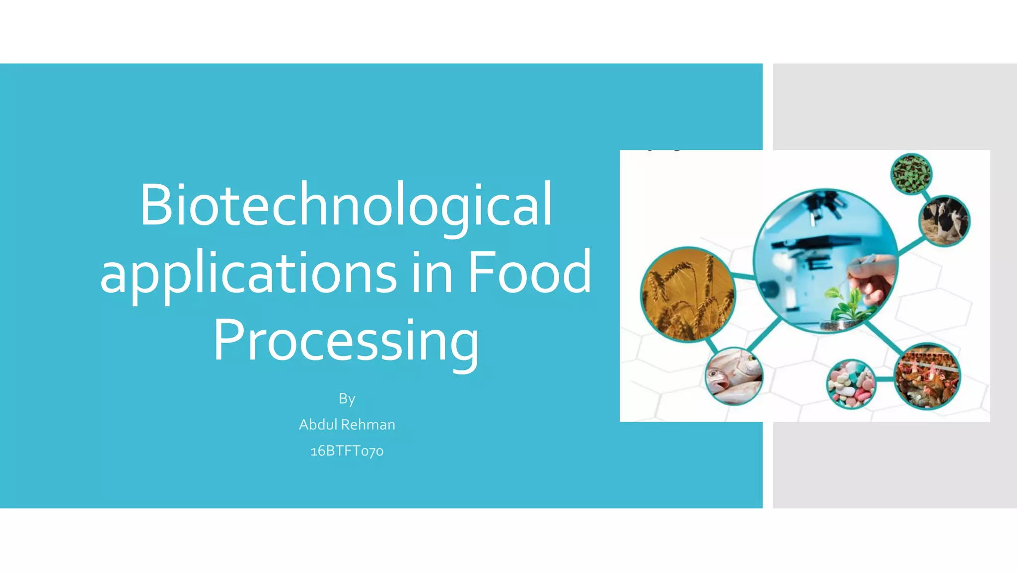 Biotechnological applications in Food Processing | PDF