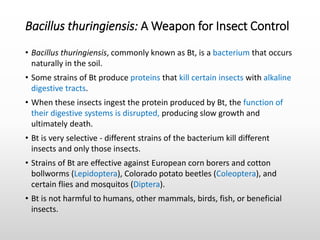 Biotechnological approach to develop insect resistant crops | PDF