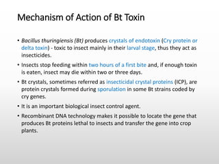 Biotechnological approach to develop insect resistant crops | PDF
