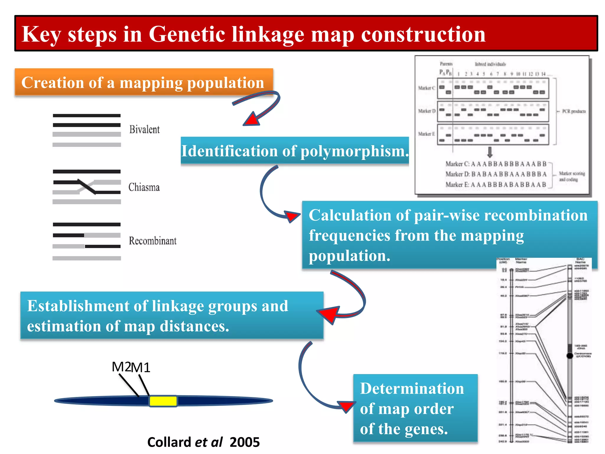 Biotechnological interventions for crop improvement in fruit crops.pptx