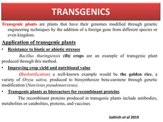 Biotechnological interventions for crop improvement in fruit crops.pptx