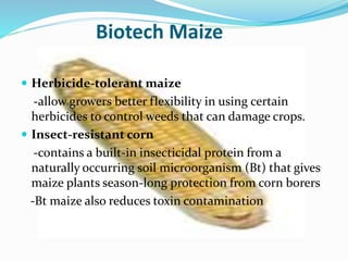 Biotechnological toools & their applications | PPT