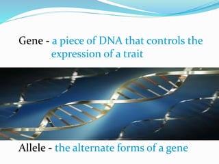 Biotechnology | PPTX