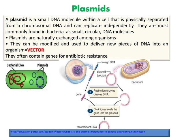 Biotechnology CLIL module | PPTX