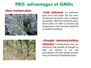 Biotechnology CLIL module | PPTX