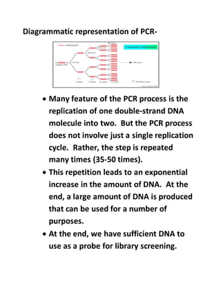 Biotechnology- Principles and processes investigatory project. | DOCX