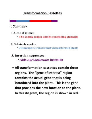 Biotechnology- Principles and processes investigatory project. | DOCX