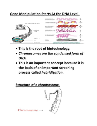 Biotechnology- Principles and processes investigatory project. | DOCX