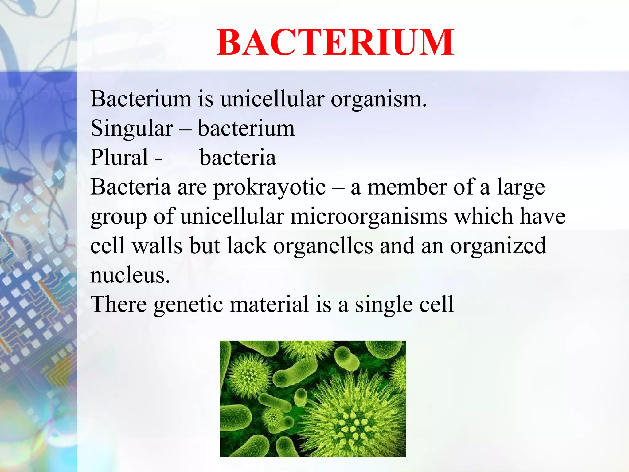 Biotechnology | PPT