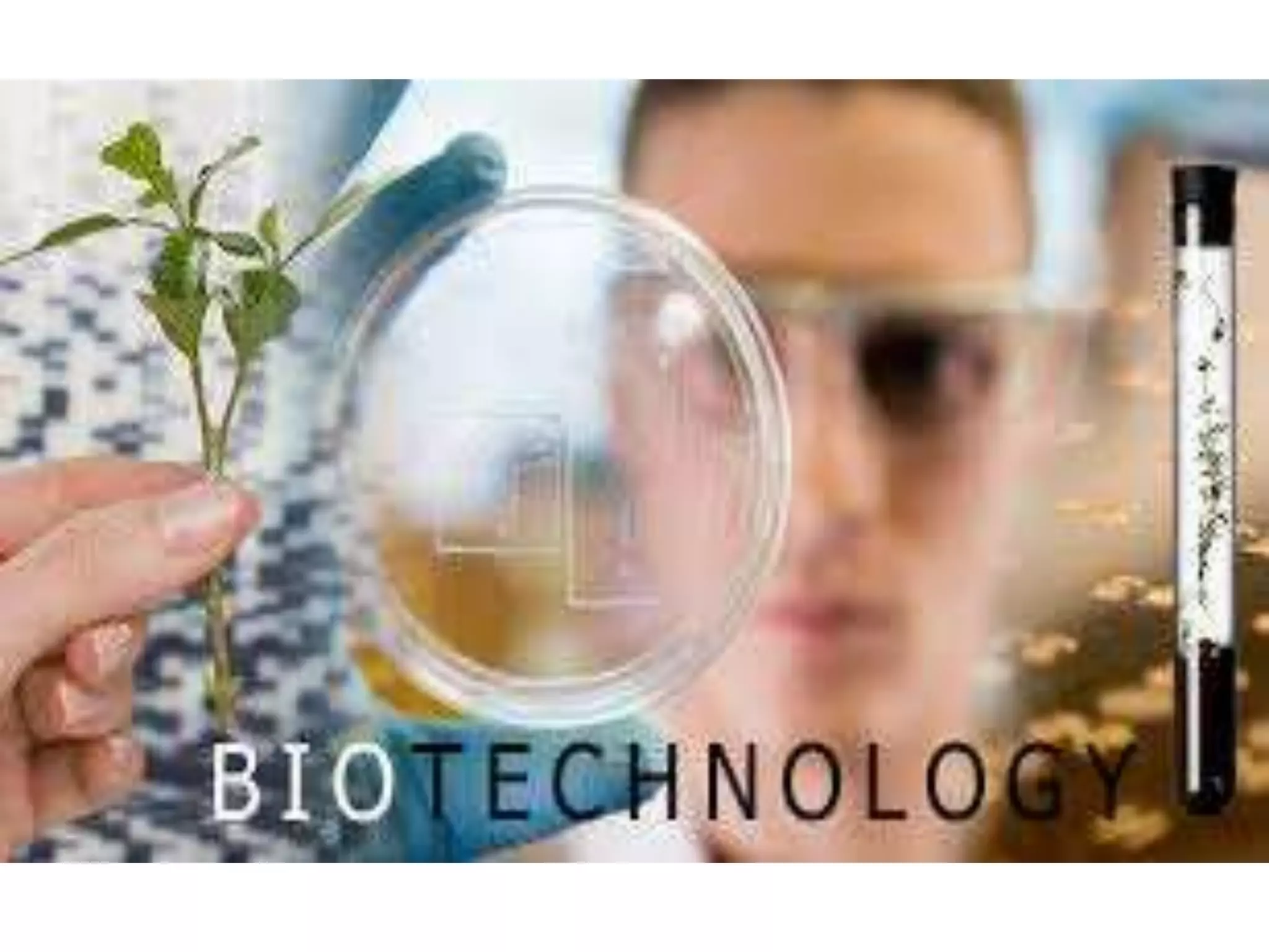 Biotechnology and and its branches | PPTX