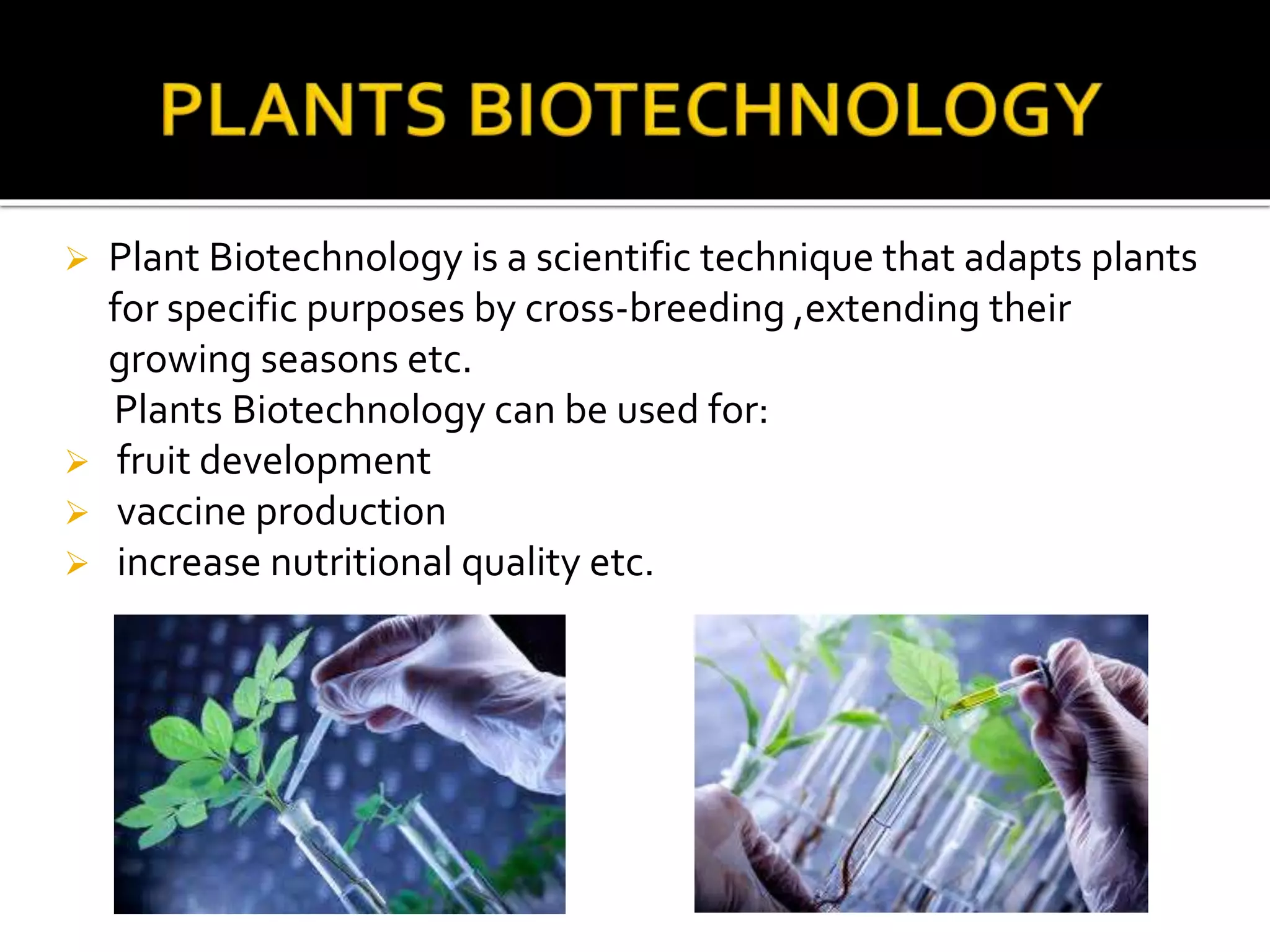 Biotechnology and and its branches | PPTX