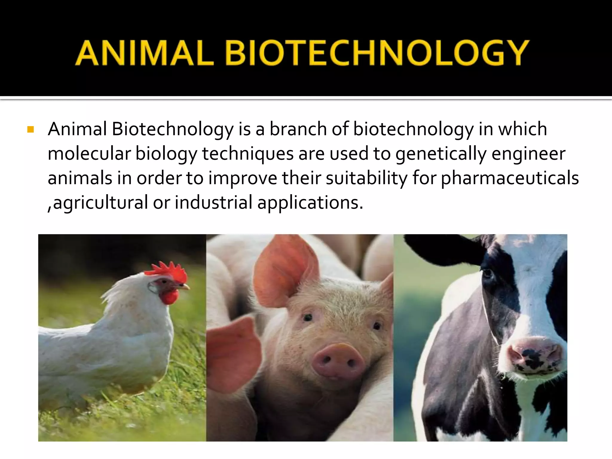 Biotechnology and and its branches | PPTX