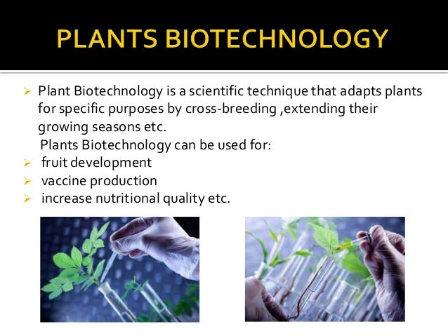 Biotechnology and and its branches