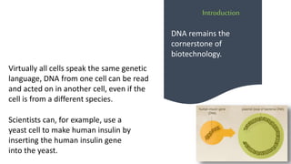 ETHICAL CONSIDERATIONS IN REGULATING BIOTECHNOLOGY | PPTX