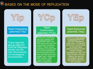 Biotechnology: Yeast Artificial Chromosome Cloning Vector | PPTX