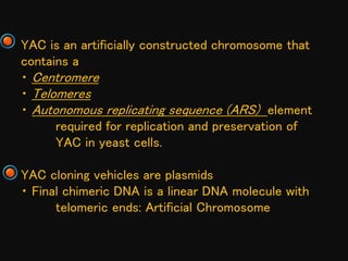 Biotechnology: Yeast Artificial Chromosome Cloning Vector | PPTX