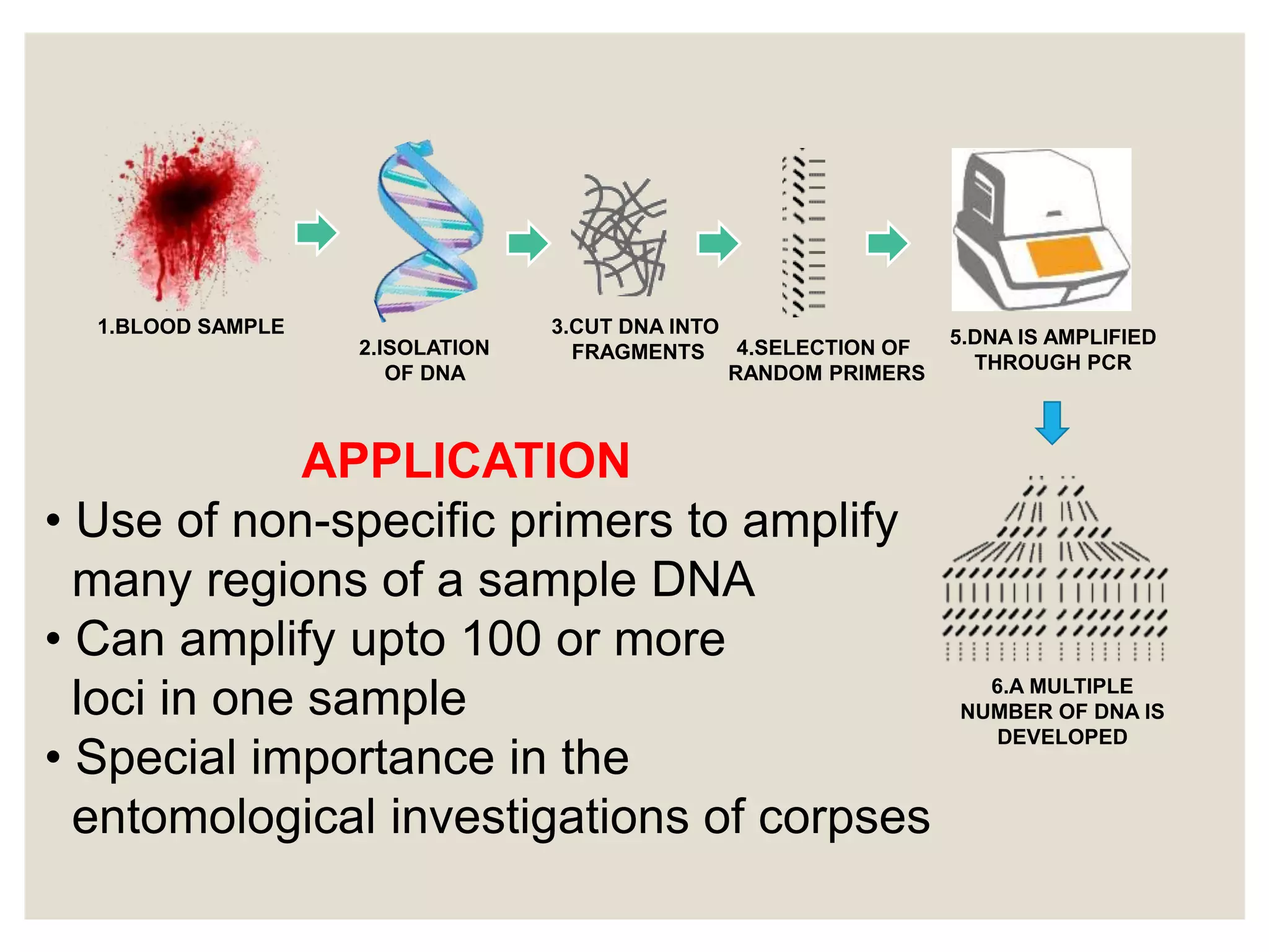 Role of biotechnology in forensic science | PPTX