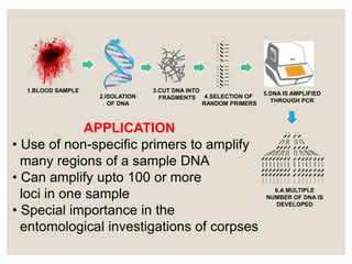 Role of biotechnology in forensic science | PPTX