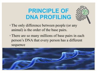 Role of biotechnology in forensic science | PPTX