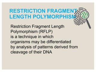 Role of biotechnology in forensic science | PPTX