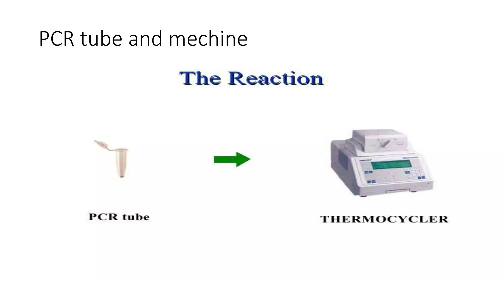 PCR biotechnology | PPTX