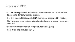PCR biotechnology | PPTX