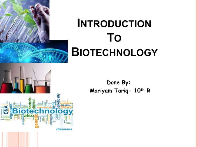Biotechnology grade 10 | PPTX