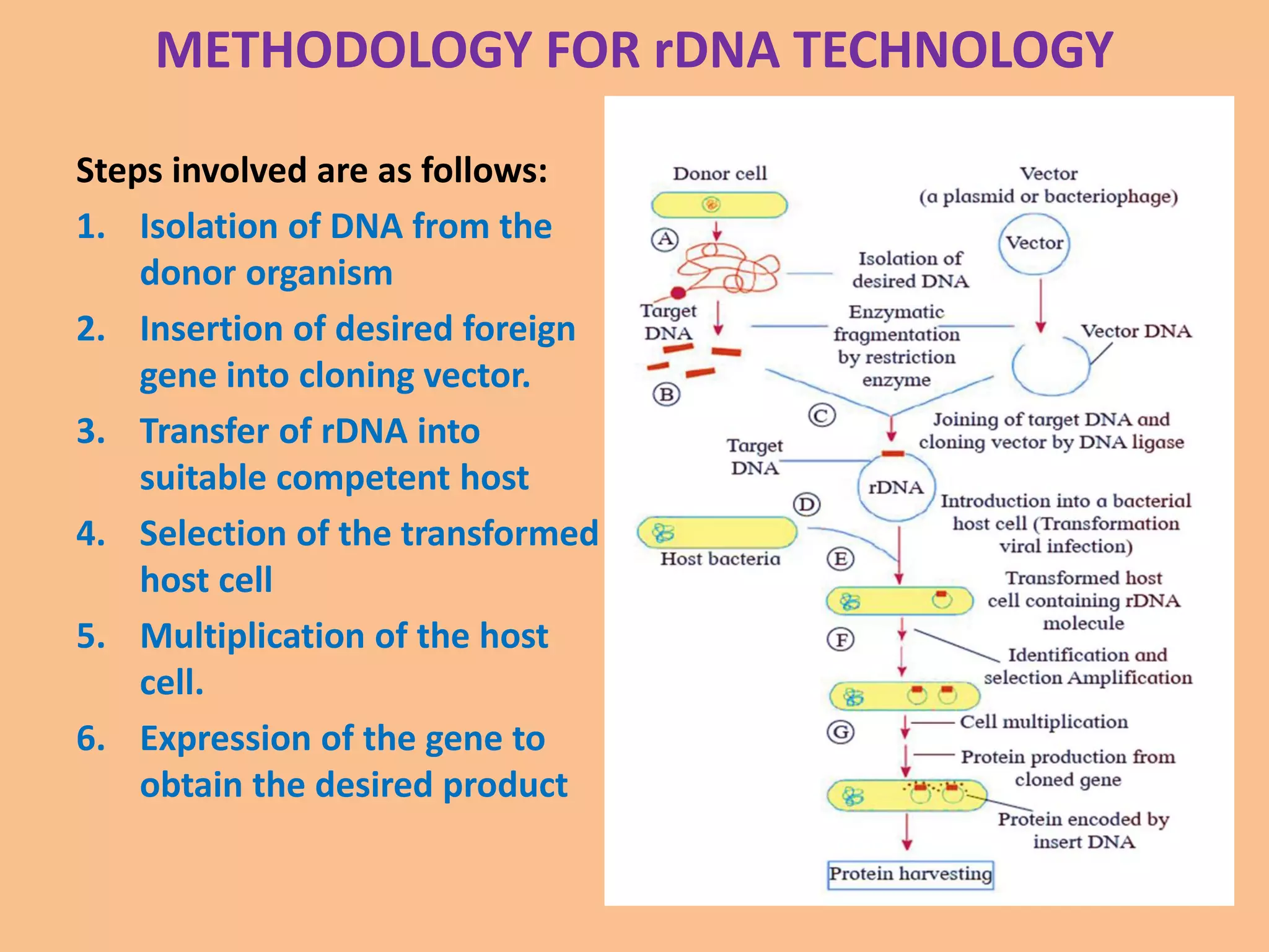 Biotechnology part 1 | PDF