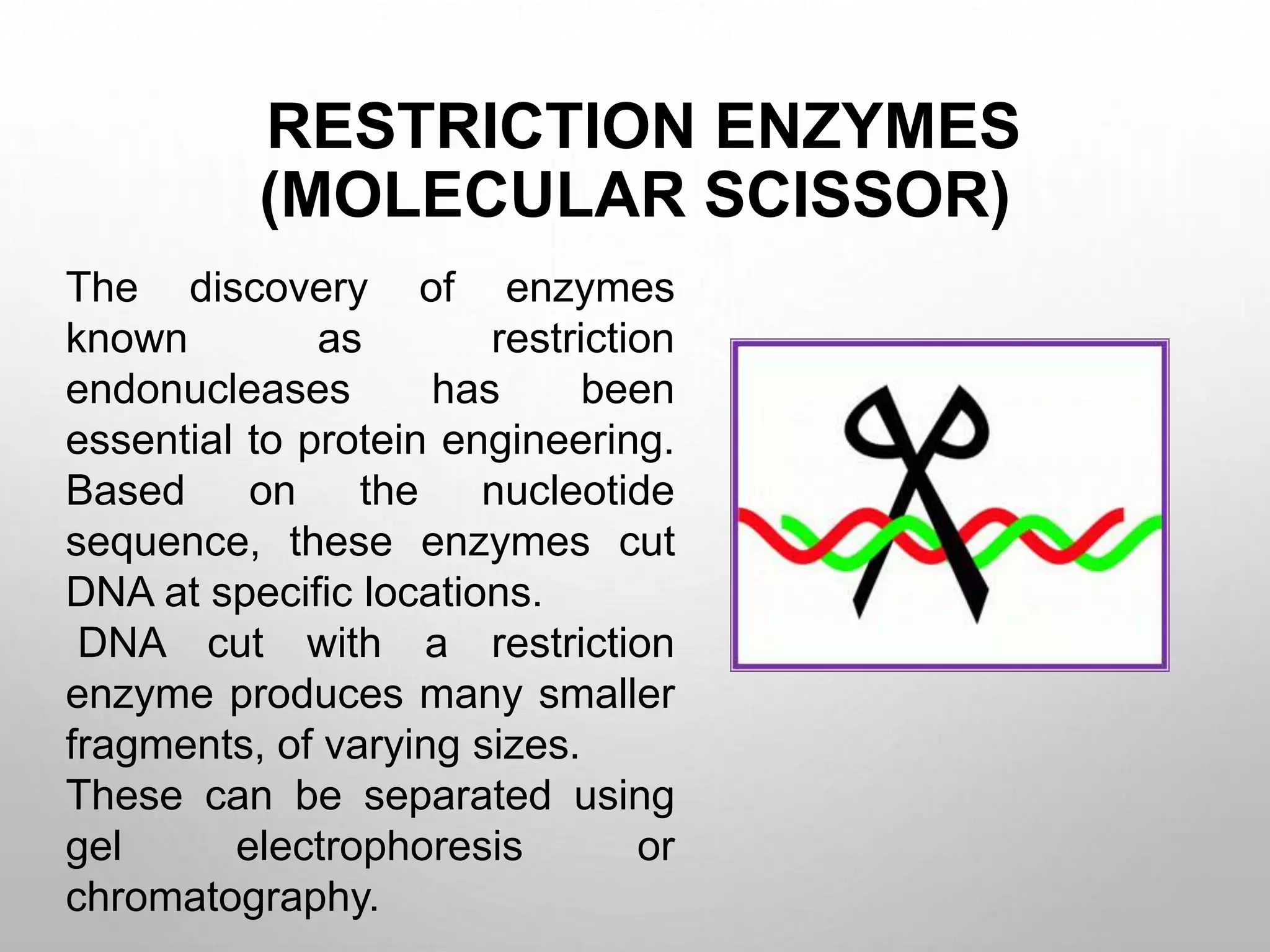 INTRODUCTION TO Biotechnology | PPT