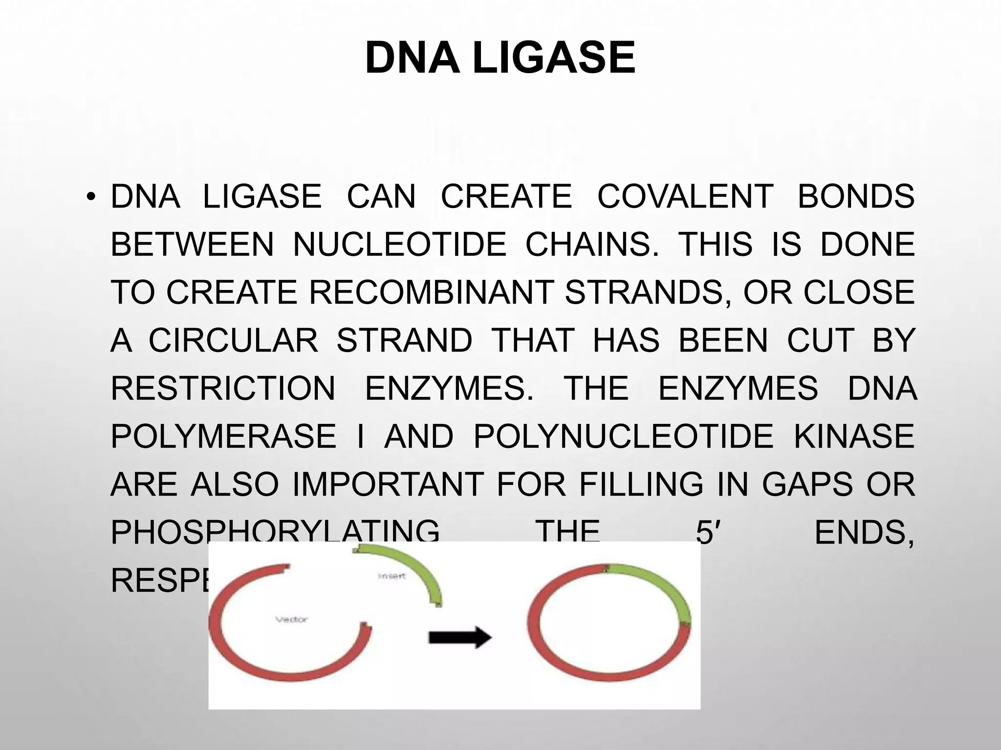 INTRODUCTION TO Biotechnology | PPT