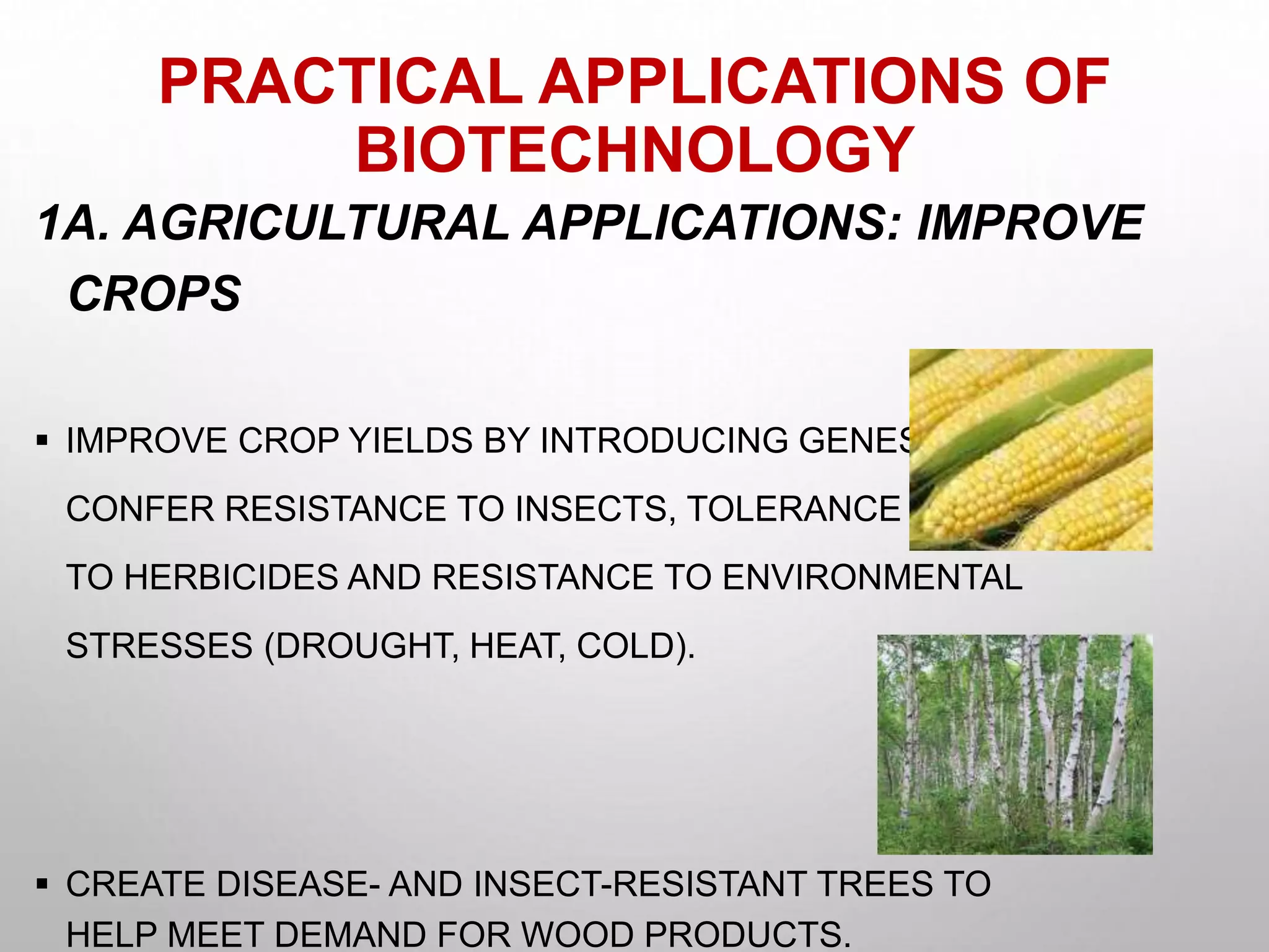 INTRODUCTION TO Biotechnology | PPT