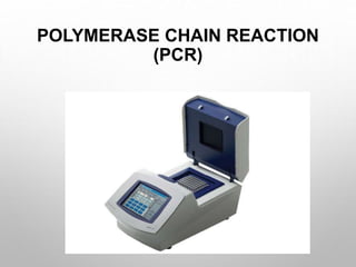 INTRODUCTION TO Biotechnology | PPT