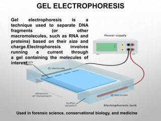 INTRODUCTION TO Biotechnology | PPT