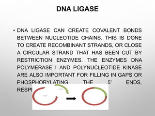 INTRODUCTION TO Biotechnology | PPT